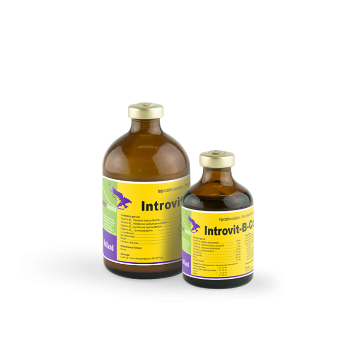 Introvit-B-Complex : Kantipur Vet Distributors