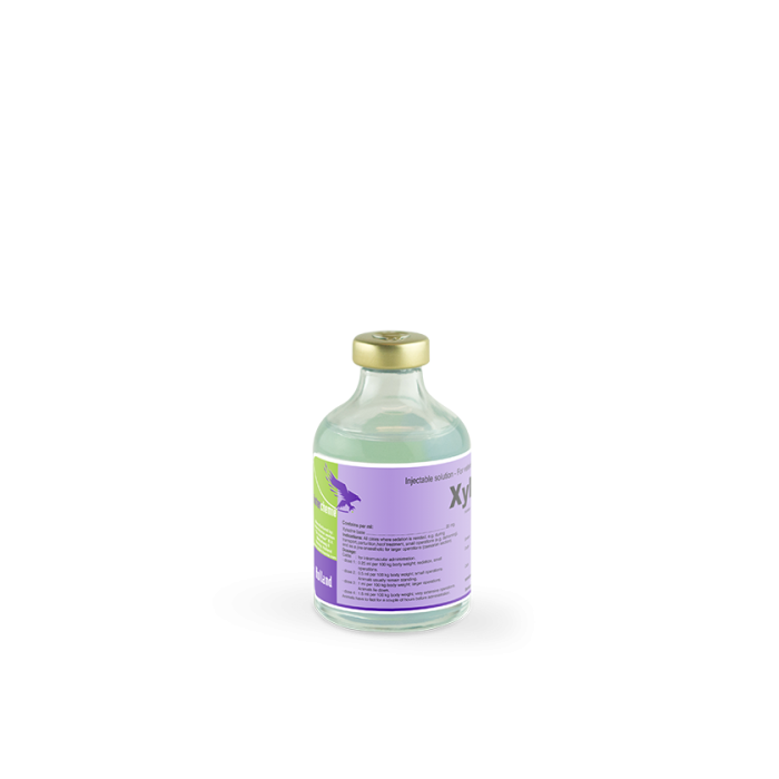 Xyla : Kantipur Vet Distributors